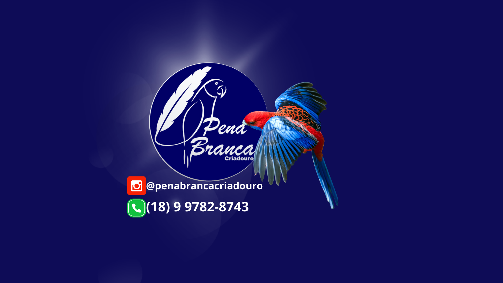Criadouro Pena Branca | Home