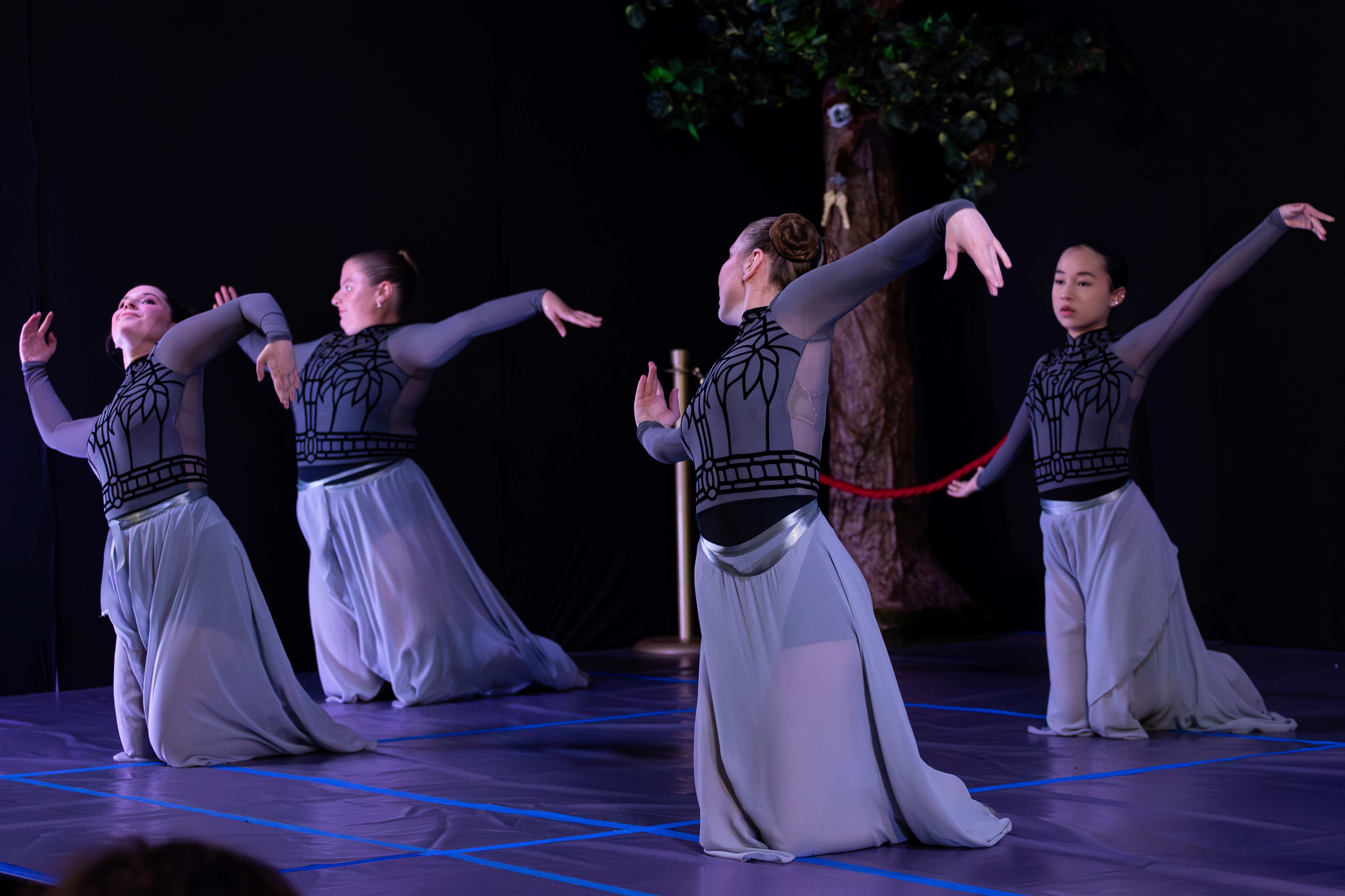 Apologia Dance & Martial Arts | Dance Styles Descriptions