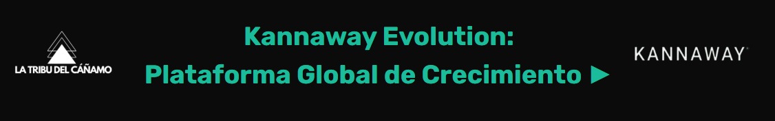 KANNAWAY EVOLUTION | Home